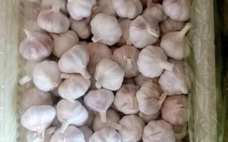 大蒜头和大蒜有什么区别_哪个更好吃