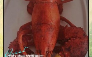 大龙虾怎么清洗_大龙虾怎么做才好吃