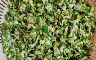 槐花饺子馅怎么做_槐花饺子馅做法大全视频