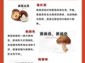 香菇的营养价值有哪些_香菇的功效与作用是什么