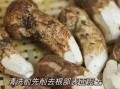 松茸怎么清洗_松茸清洗后如何保存