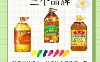 食用油哪个牌子的最好最安全_家庭健康怎么选