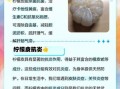 柠檬皮可以泡水喝吗_柠檬皮泡水有什么好处