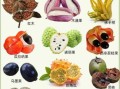 水果名字大全图片_哪些水果名字最难记