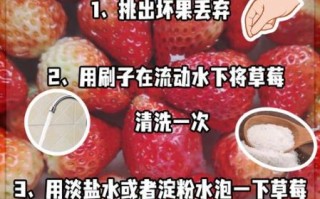 草莓怎么洗才干净_草莓洗了怎么保存不坏