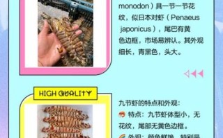 竹节虾是海虾还是河虾_竹节虾产地在哪里
