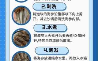 干海参怎么泡发_干海参泡多久才软