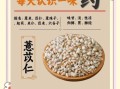 薏苡仁的功效与作用及禁忌_薏苡仁怎么吃才正确