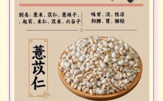 薏苡仁的功效与作用及禁忌_薏苡仁怎么吃才正确