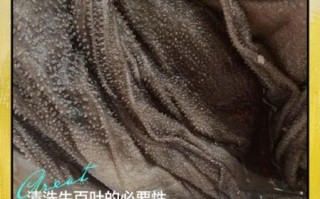 牛百叶怎么清洗_牛百叶图片做法大全