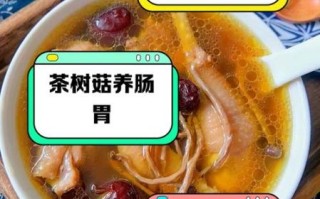 茶树菇煲鸡汤的做法_茶树菇鸡汤有什么功效 茶树菇煲鸡汤的做法_茶树菇鸡汤有什么功效