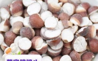 茨实功效与作用_茨实怎么吃补肾健脾