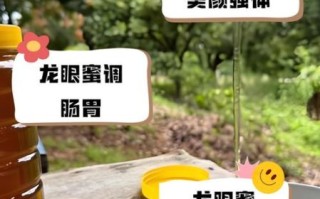 龙眼蜜的功效与作用_龙眼蜜适合什么人吃