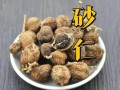 草果别名有哪些_草果与砂仁区别