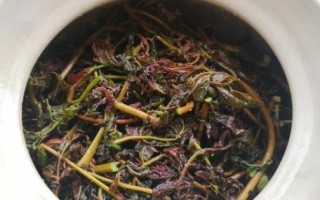 香椿芽怎么腌制_香椿芽腌制窍门