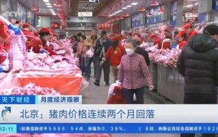 猪肉价格为什么连续回落_近期猪肉价格走势如何