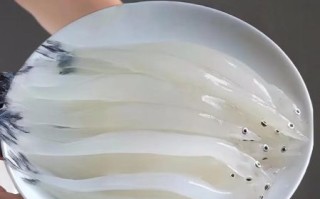 新鲜银鱼多少钱一斤_银鱼价格行情