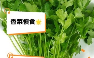 香菜对男性功能有影响吗_香菜会降低睾酮吗