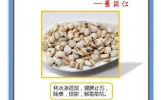 男人为什么不能吃薏米_薏米对男性有什么危害