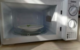 微波炉哪个品牌好耐用_家用微波炉怎么选