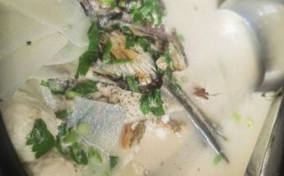 鱼汤的家常做法大全_鱼汤怎么炖不腥