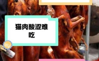 猫肉能吃吗_猫肉食用禁忌