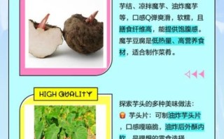 魔芋是芋头吗_魔芋和芋头区别