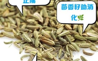 茴香籽怎么吃最好_茴香籽的正确吃法