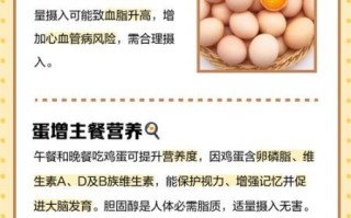 鸡蛋什么时候吃最好_一天吃几个鸡蛋合适