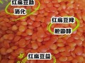 红小扁豆的功效与作用_红小扁豆的禁忌有哪些