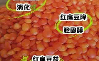 红小扁豆的功效与作用_红小扁豆的禁忌有哪些