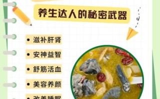 乌骨鸡汤的功效与作用_乌骨鸡汤适合什么人喝