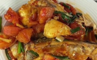 番茄鱼的做法_家常番茄鱼怎么做