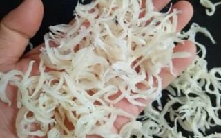 银鱼干可以直接吃吗_银鱼干怎么吃才安全