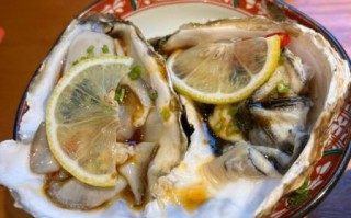 生煎鱼片怎么做_生煎鱼片的做法大全