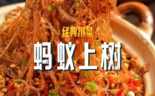 龙口粉丝做蚂蚁上树怎么做_龙口粉丝做蚂蚁上树为什么粘锅