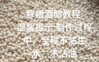 醪糟米酒怎么做_醪糟米酒的功效与作用