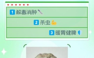 吃大蒜有什么好处_大蒜的功效与作用有哪些