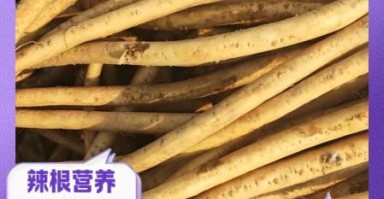 辣根的功效与作用_辣根怎么吃最健康