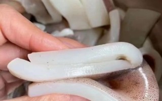 冷冻鱿鱼怎么处理干净_冷冻鱿鱼去内脏技巧