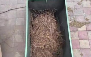 小型搅拌机哪个牌子好_家用小型搅拌机怎么用