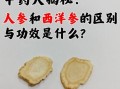 白参和西洋参的区别_哪个更适合日常滋补