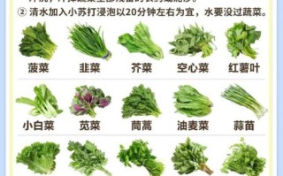 色拉蔬菜有哪些_色拉蔬菜怎么洗才干净