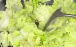 大白菜的最佳搭配_大白菜和什么一起炒最好吃