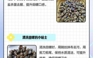 田螺怎么清洗干净_田螺的家常做法