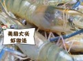 大头虾怎么处理干净_去虾线技巧