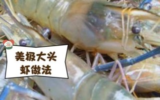 大头虾怎么处理干净_去虾线技巧