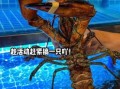 波士顿龙虾多少钱一斤2021_2021波士顿龙虾价格走势
