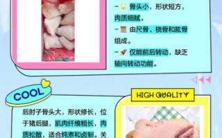 猪肘子前肘好还是后肘好_口感营养区别