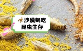 蝎子吃什么_蝎子食物有哪些